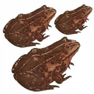 Striped Common Toad MDF Wood Shape